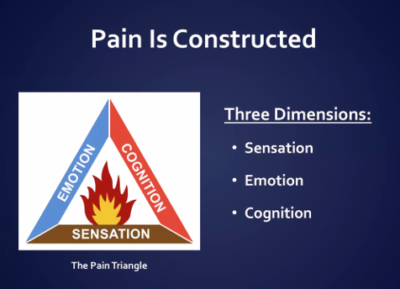 How do some experts explain the understanding of PAIN? – Pain Science ...